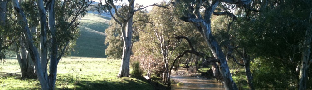 Tallarook, Victoria - The Great Victorian Rail Trails of Victoria